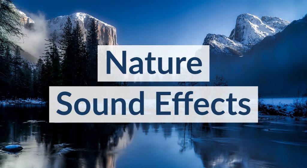 Ambient Sounds - TunePocket Royalty Free Sound Effects