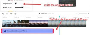 How To Avoid And Fix Music Copyright Claims On TikTok - TunePocket