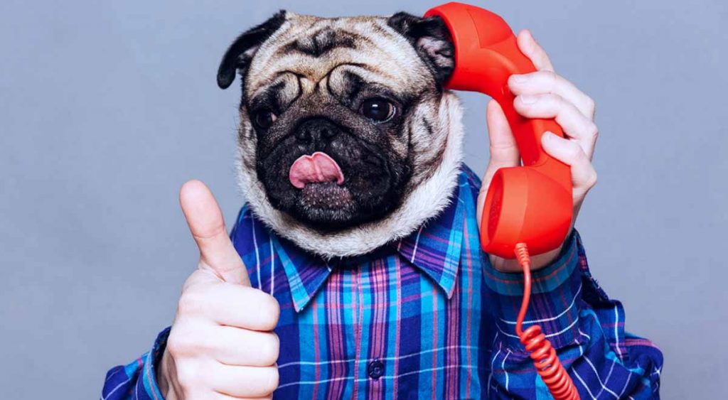 Funny On Hold Messages - TunePocket