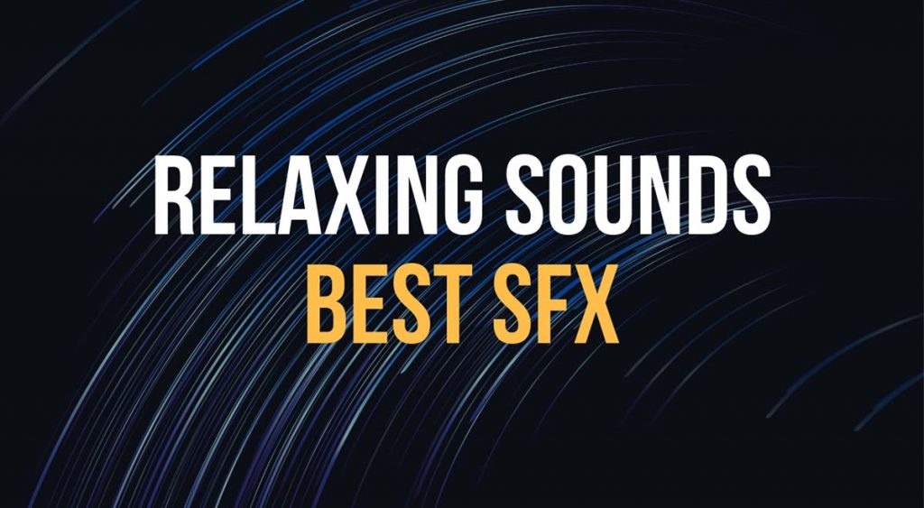 Bird Sounds - TunePocket Royalty Free Sound Effects