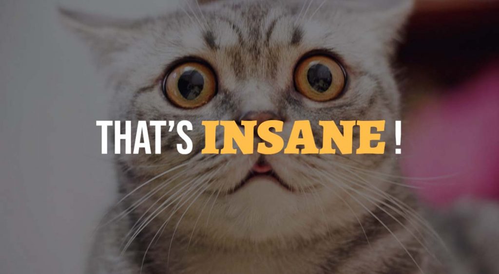 Music Sync License For Creators - TunePocket Music Library